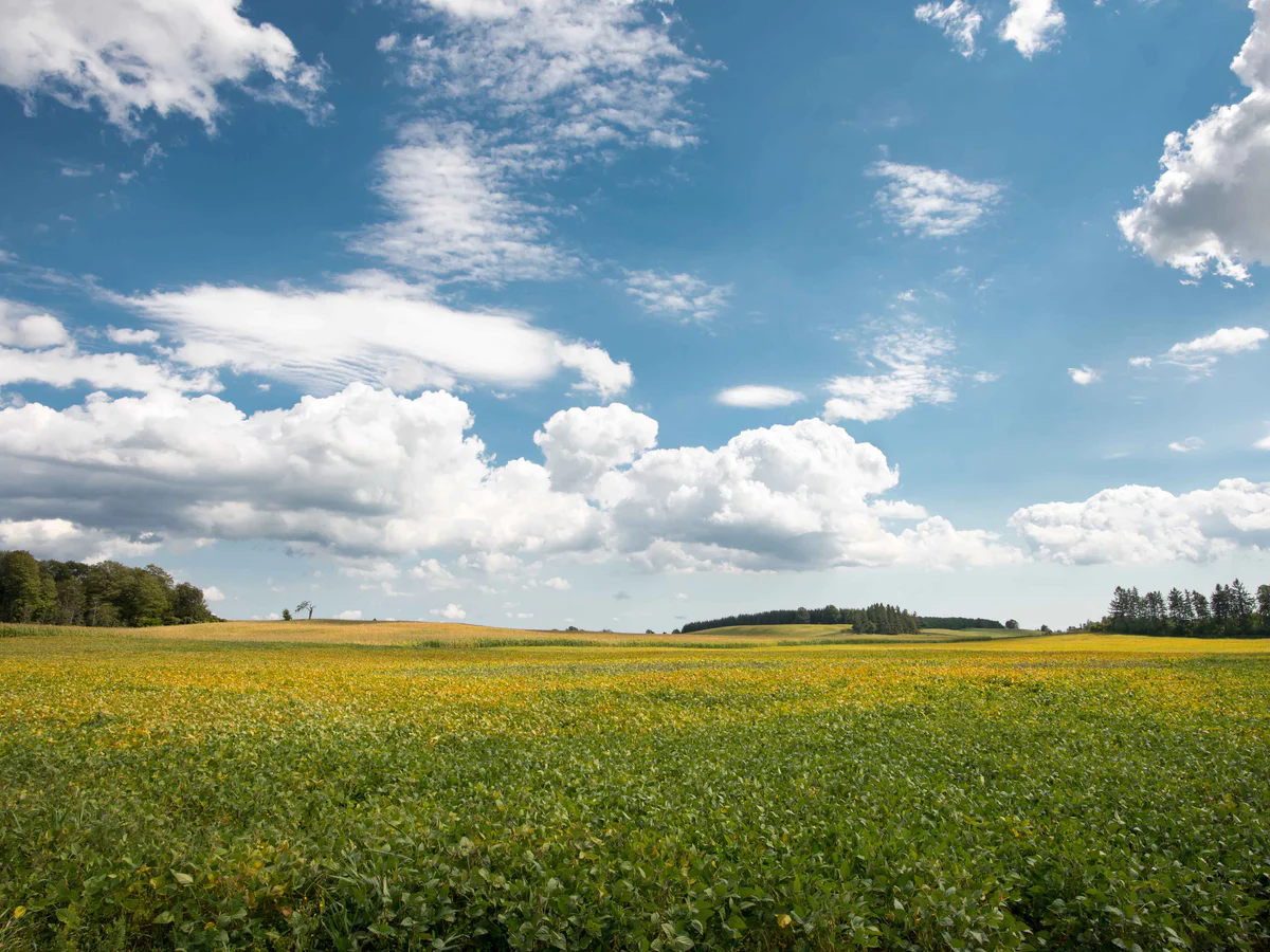 ATCO | Atlas Carbon Storage Hub | Storage Solutions