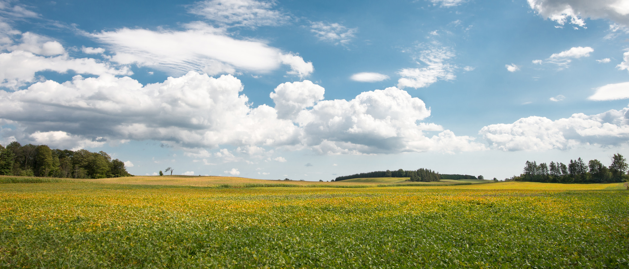 ATCO | Atlas Carbon Storage Hub