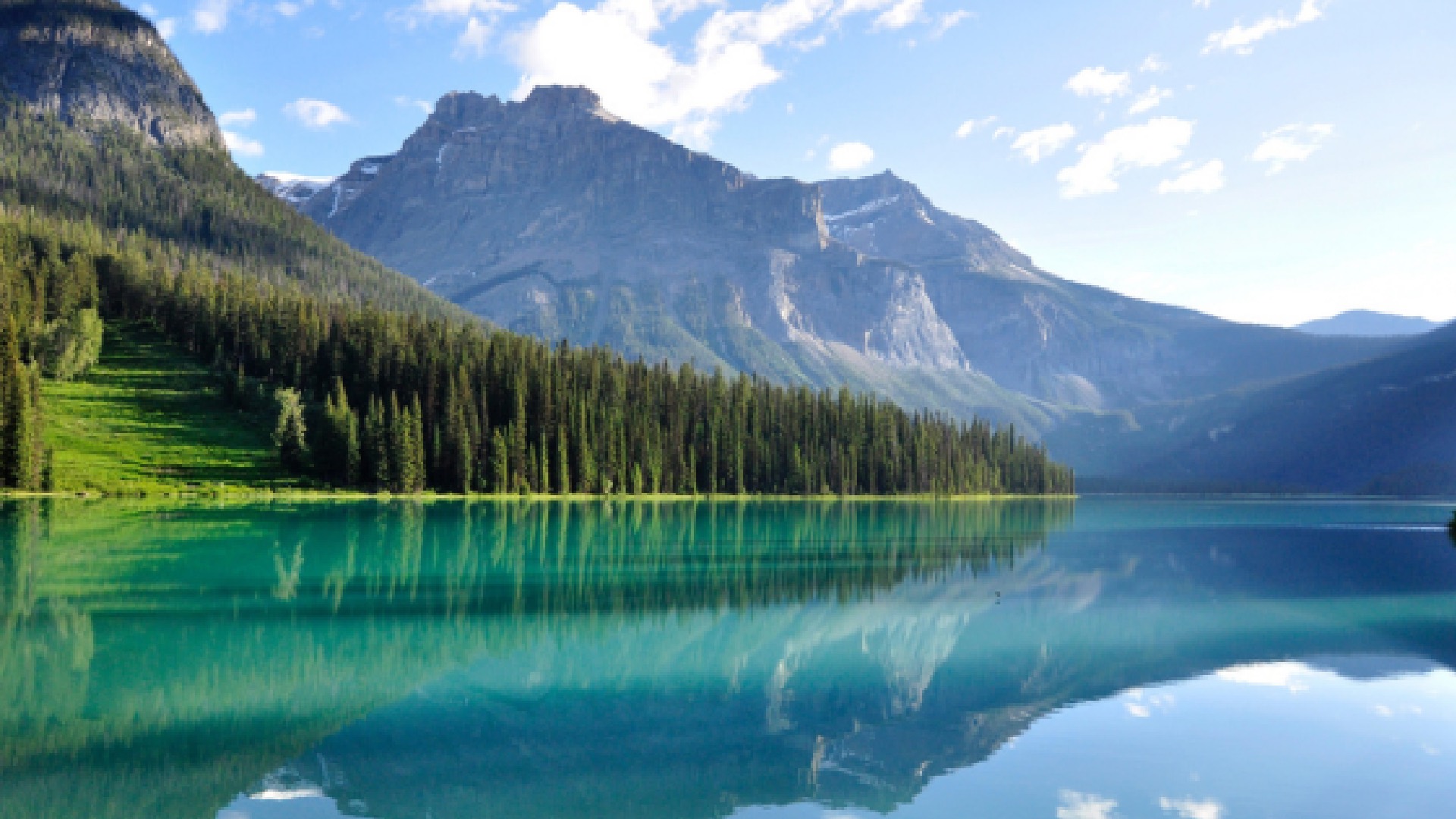 ATCO | Nancy Southern Receives Canadian Energy Person of the Year Award