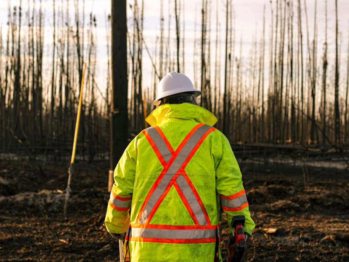 Alberta Utilities Collaborating to Reduce Wildfire Risk and Increase ...