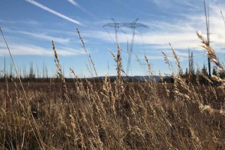 ATCO | Utilities | Energy | Structures | Operational Support Services